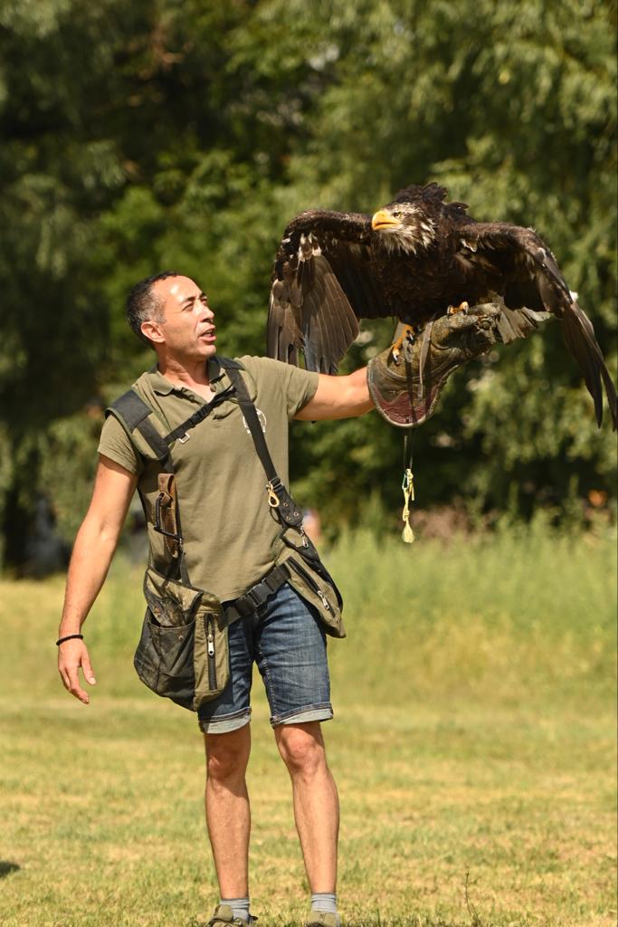 Sokolarstvo Girgis - Sokolar Hani Girgis